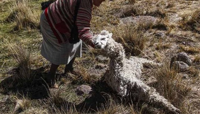 drought - Tags | Philstar.com