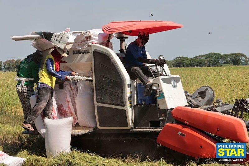 Pinas, nananatiling largest rice importer | Pilipino Star Ngayon