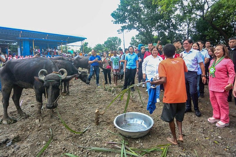 Pangulong Marcos namahagi ng kalabaw sa Aetas | Pilipino Star Ngayon